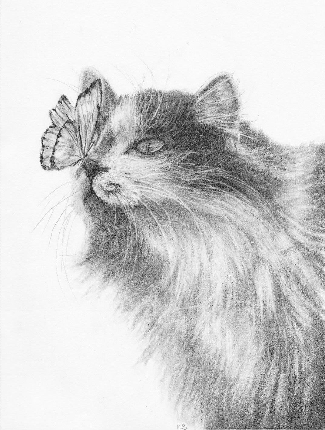 Original Animal Art | Fine Art | Wildlife and Pets – Kartidia Fine Art